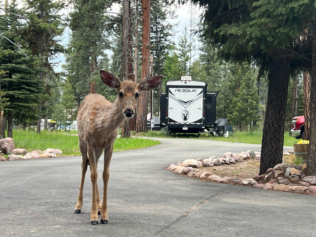 Our Story | KoolRV Solutions, Inc